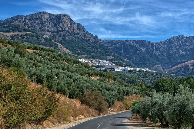 Toplist Of 10 Fun Facts About Spain Suspanish Blog Toplist Of 10 Fun Facts About Spain Suspanish Blog